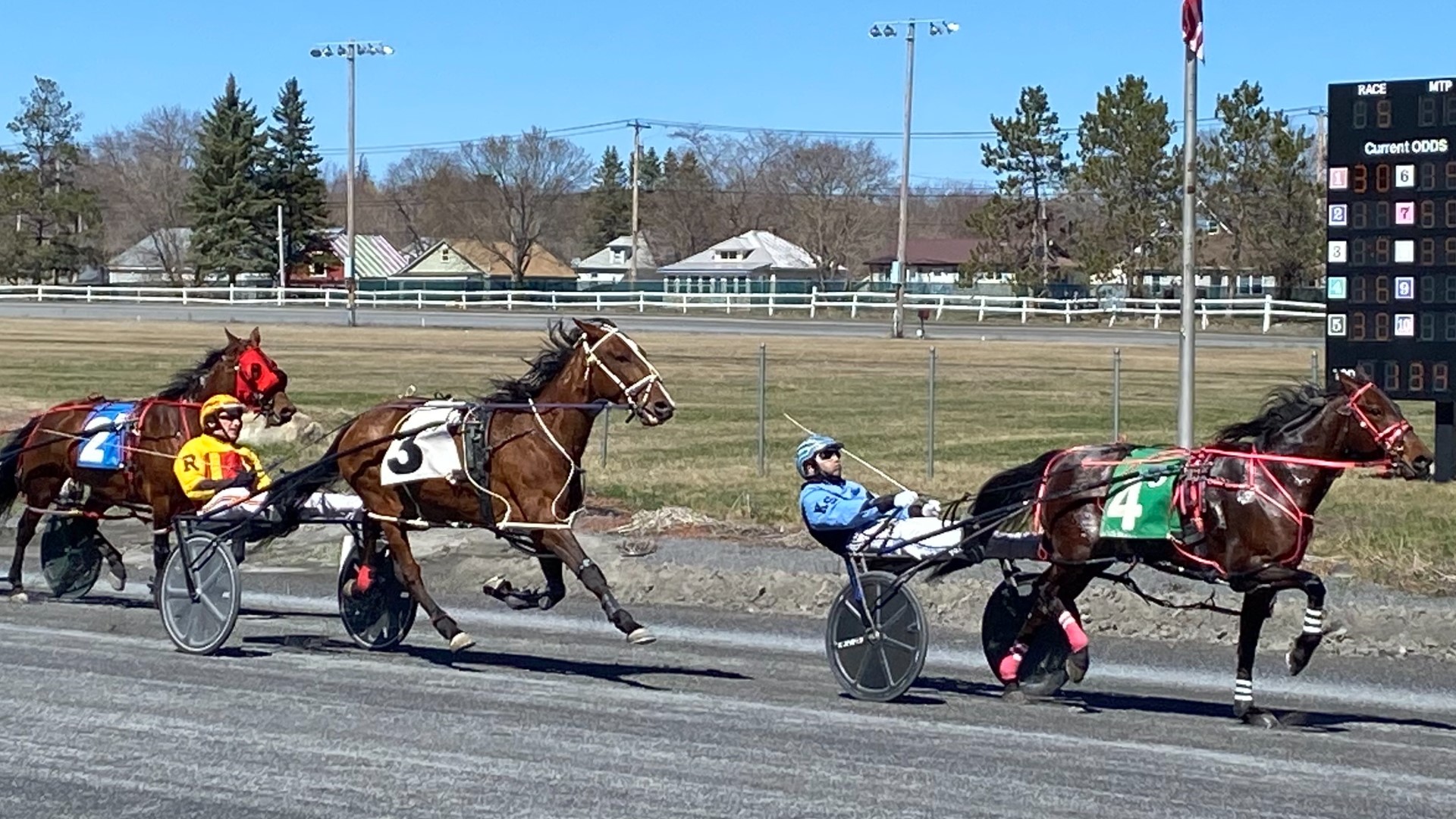 Great Pine Racing – Maine Harness Racing, Always
