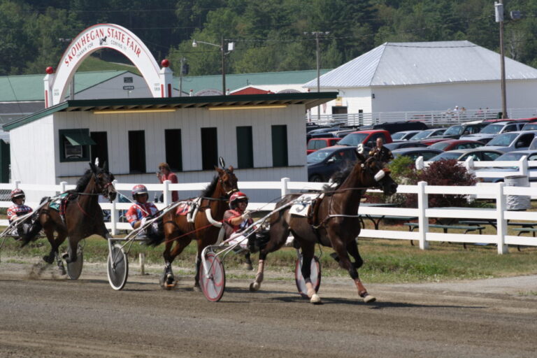 Great Pine Racing – Maine Harness Racing, Always